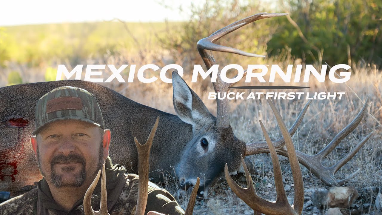 OLD MEXICO BOWHUNTING!!! Bucks at DAYBREAK. - YouTube