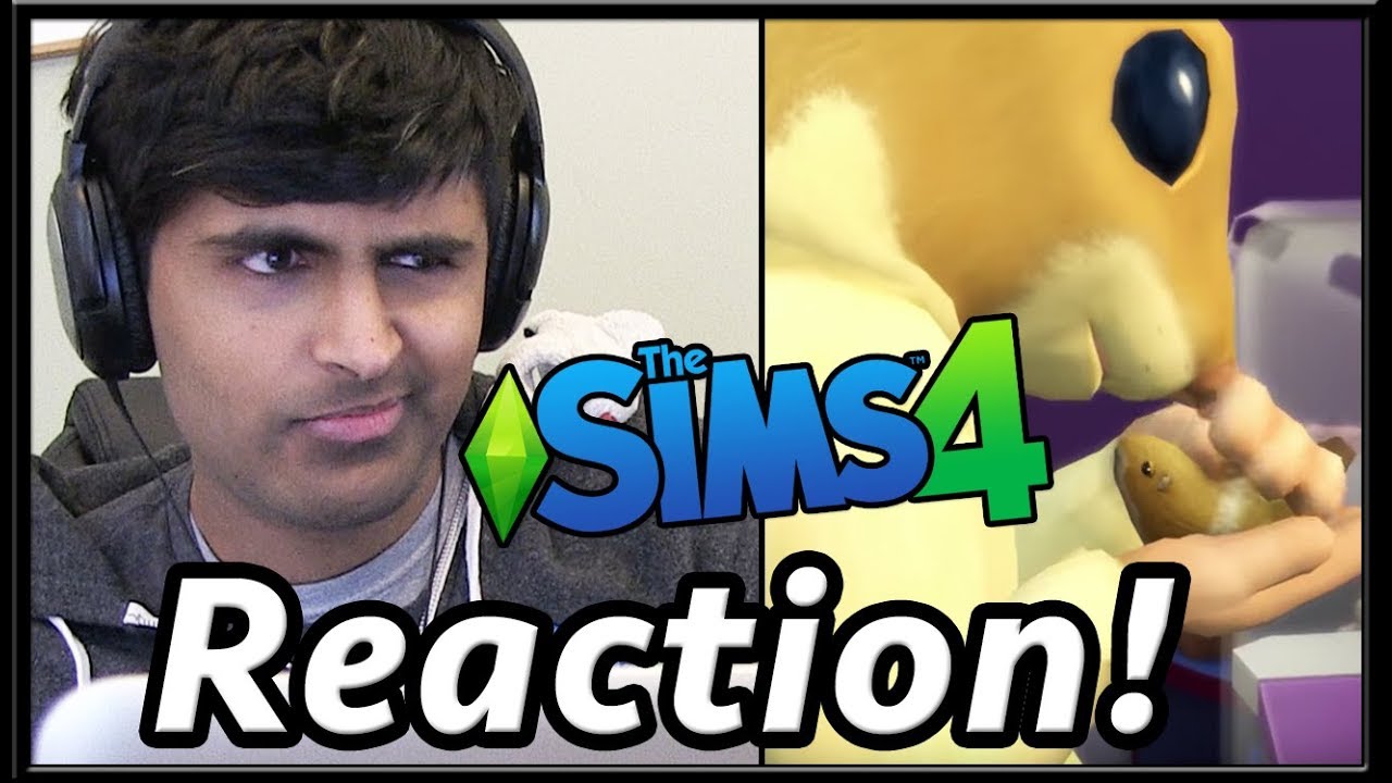 ...Really? FIRST REACTION: The Sims 4 | My First Pet Stuff Trailer ...