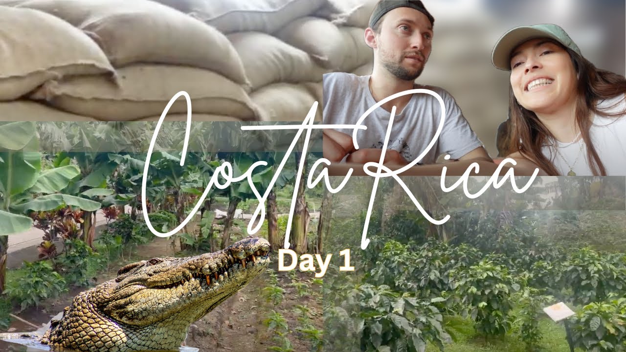 Costa Rica in One Day: Coffee, Crocs & a Crazy Ending 🐊☕🌴 - YouTube