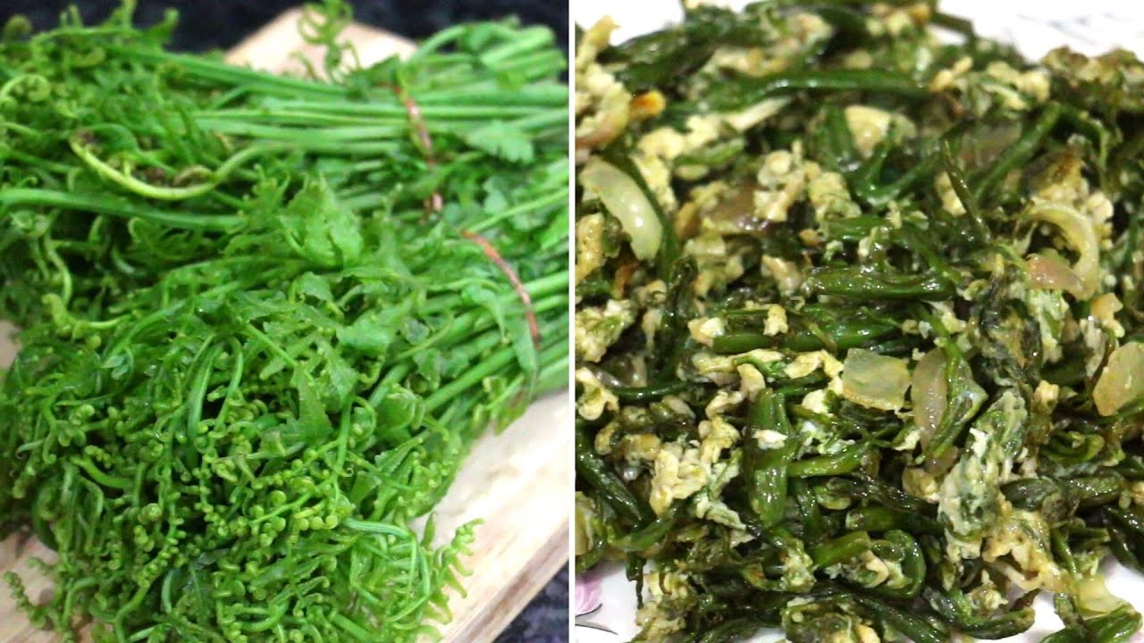 FERN stir fry/quick and easy fern fry /egg recipe. - YouTube