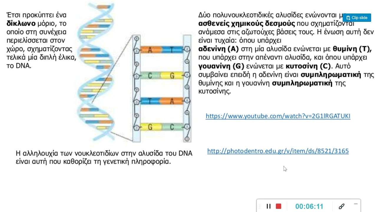 5 2 Η ροή της γενετικής πληροφορίας DNA,RNA - YouTube