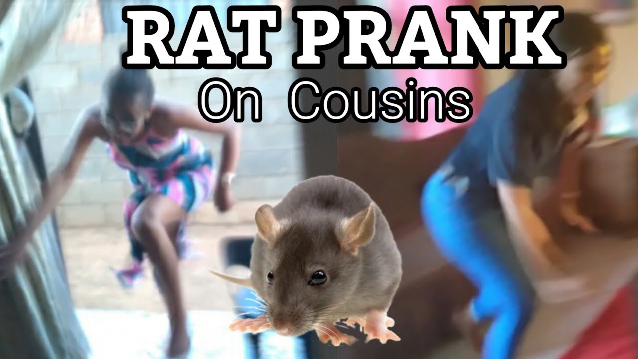 Rat Prank On My Cousins *Hilarious*🤣😂 - YouTube