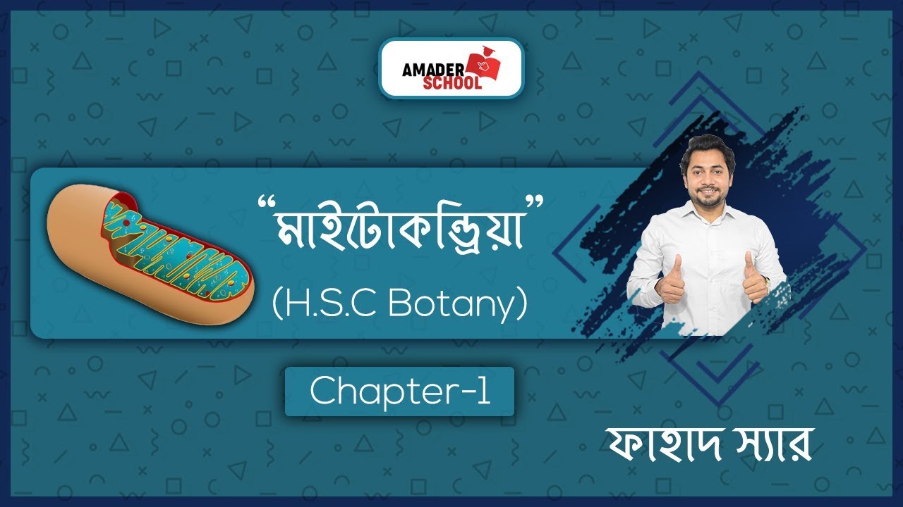 07. Mitochondria | HSC botany Chapter 1 | Cell and its structure ...