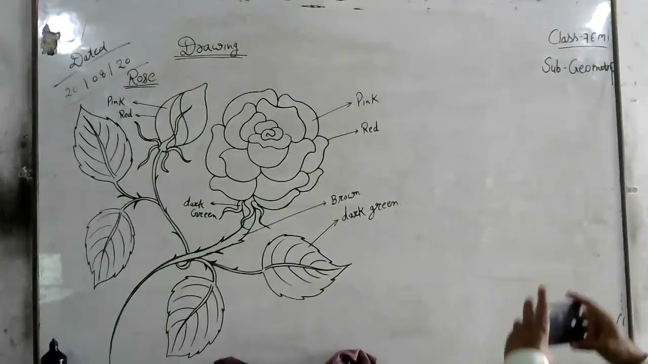 Class 7th Drawing By Vikash sir - YouTube