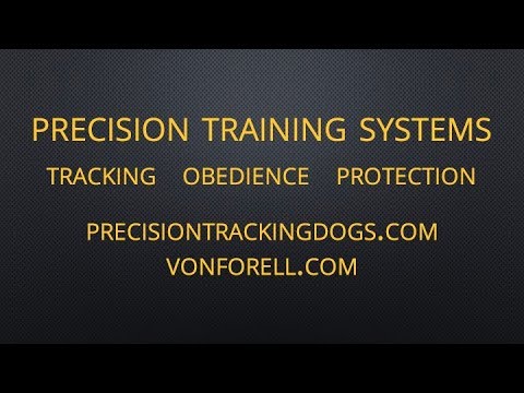 Levi & Moser Von Forell with Kris kotsopoulos - YouTube