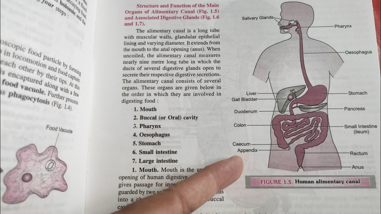 Best Book For Cbse Class 10 Science Best Book For Science Cbse Class best-book-for-cbse-class-10-science-best-book-for-science-cbse-class