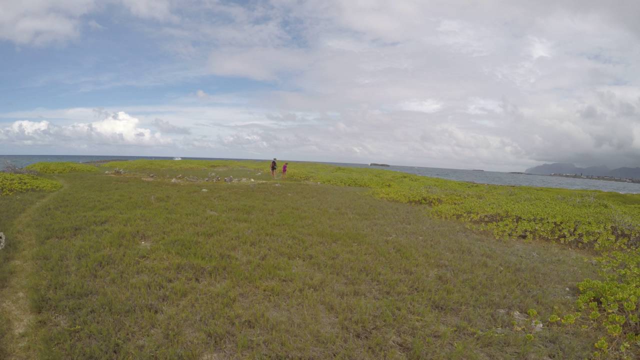 OAHU, HAWAII - Having Fun at Goat Island - Aug 2015 - YouTube