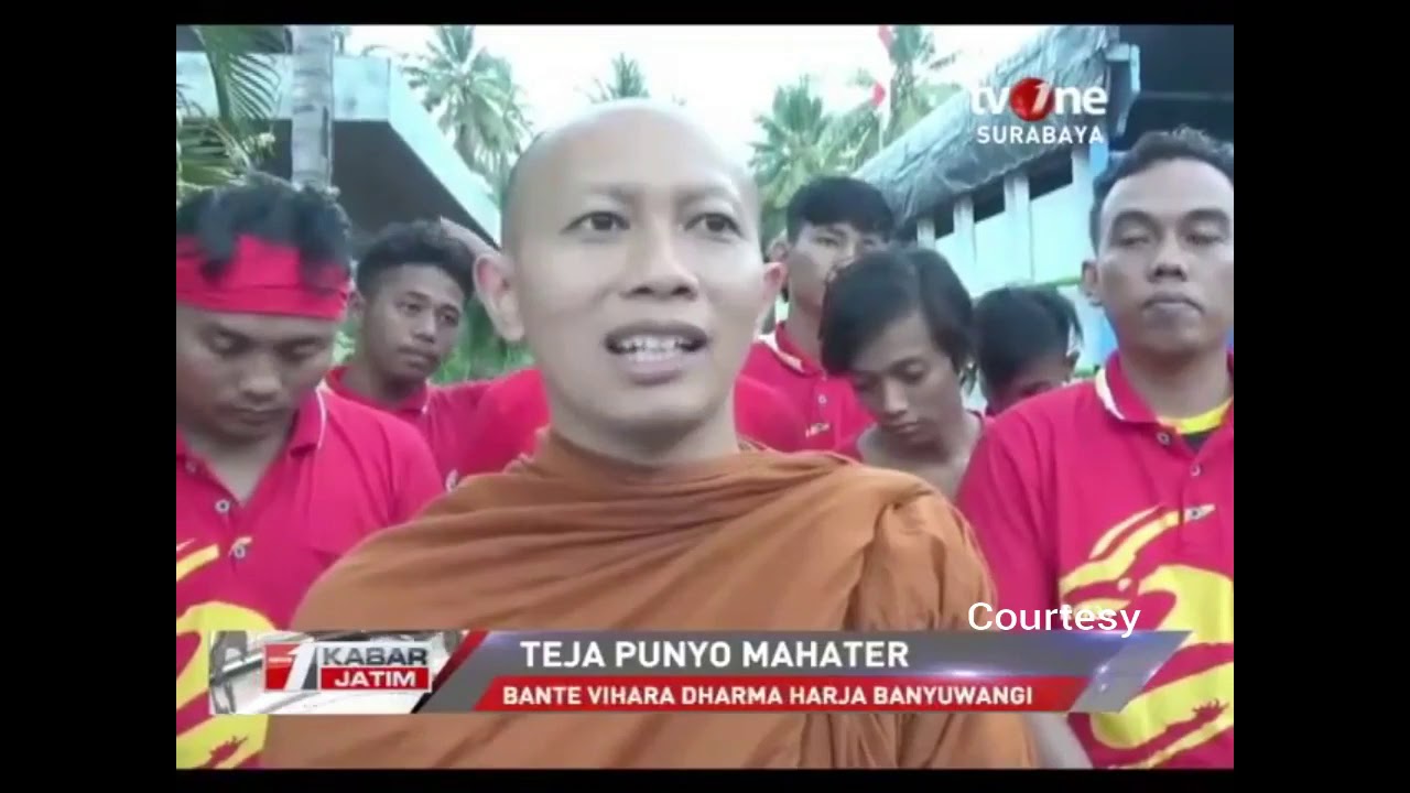 Tradisi Fang Sen Pelepasliaran Tukik Bersama Yayasan Penyu Banyuwangi ...