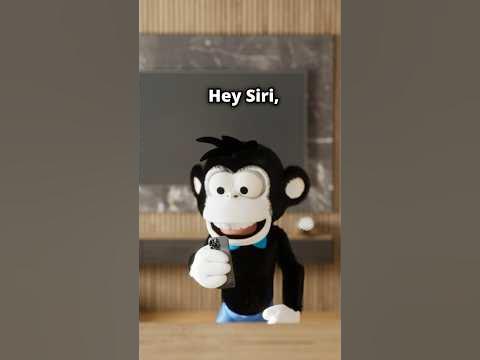 Hey siri, animation meme #memes #animation - YouTube