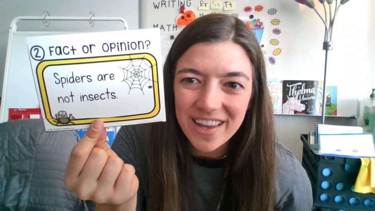 Fact or Opinion? (Spiders) - YouTube