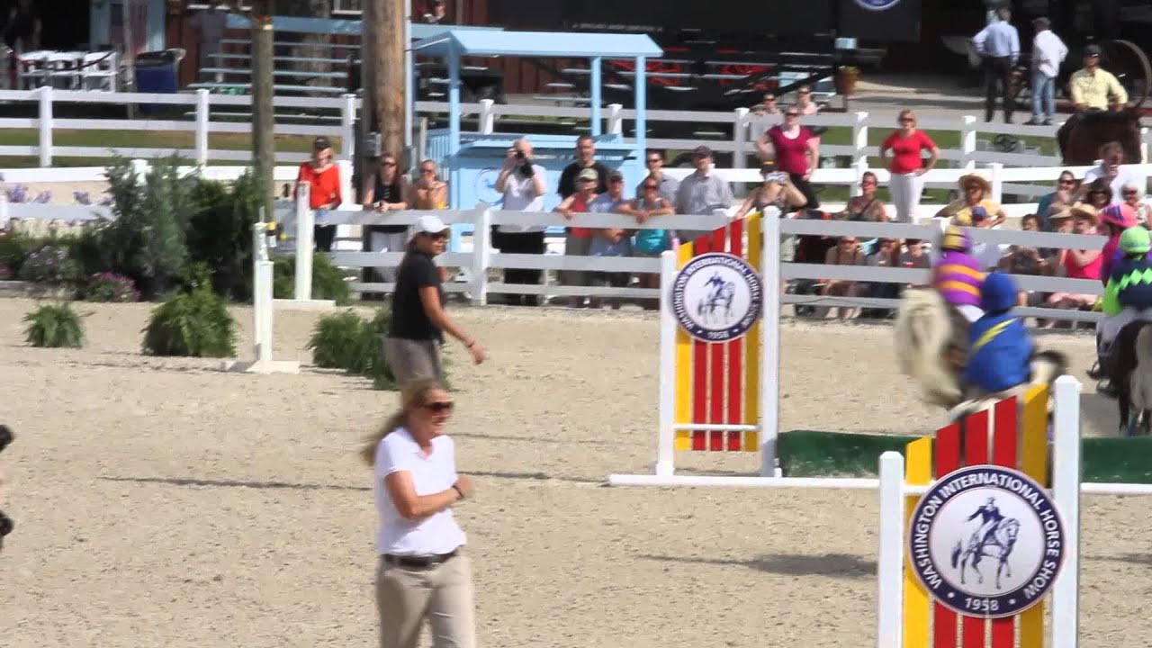 Shetland Pony Steeplechase Races at the Devon Horse Show - YouTube