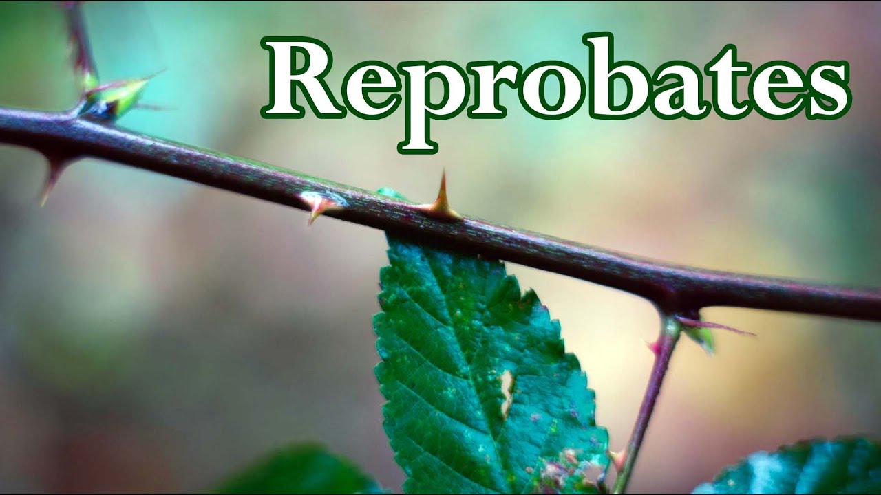 2 Corinthians 10-13 KJV - Reprobates - Bible in a Year Ep 343/365 - YouTube