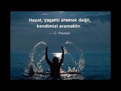 Resimli Aramak İle İlgili Sözler