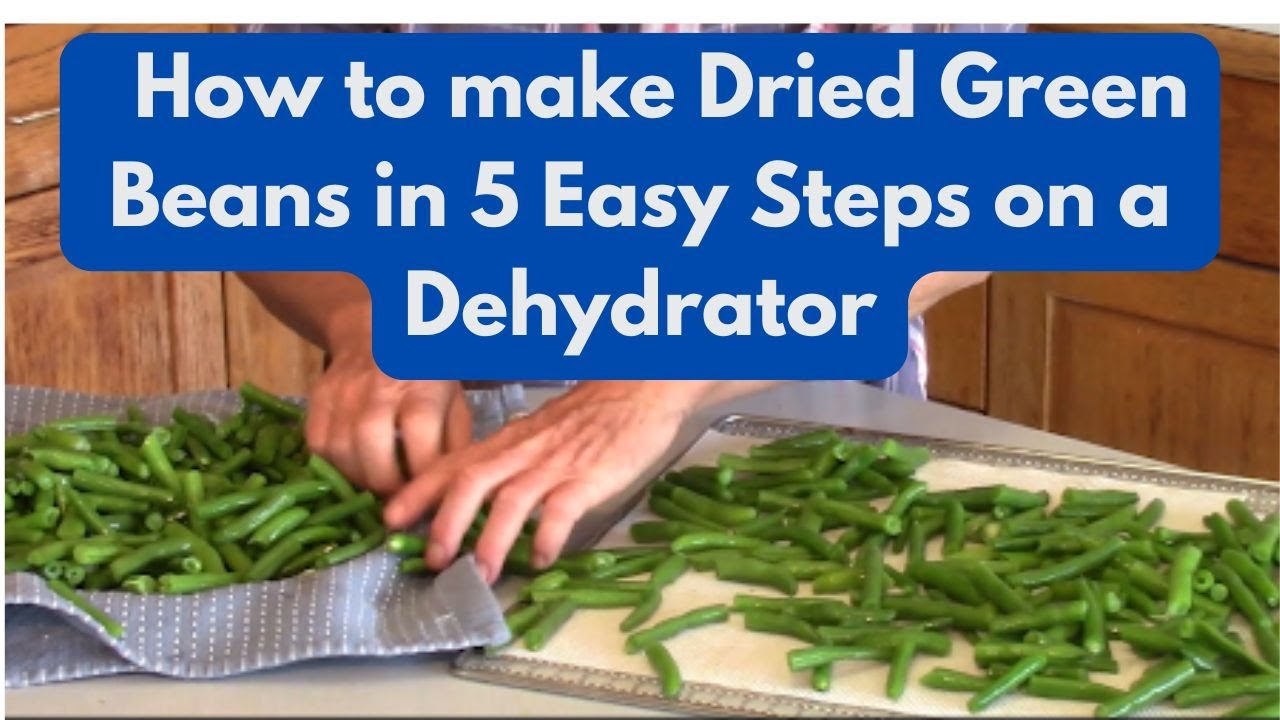 How to make Dried Green Beans in 5 Easy Steps on a Dehydrator - YouTube