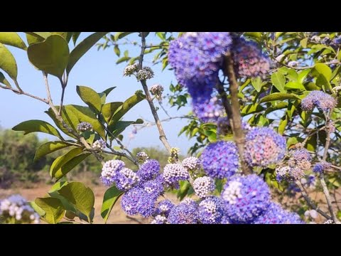 Highlight 1:50 - 6:49 from Poonam Jadhav is live! - YouTube