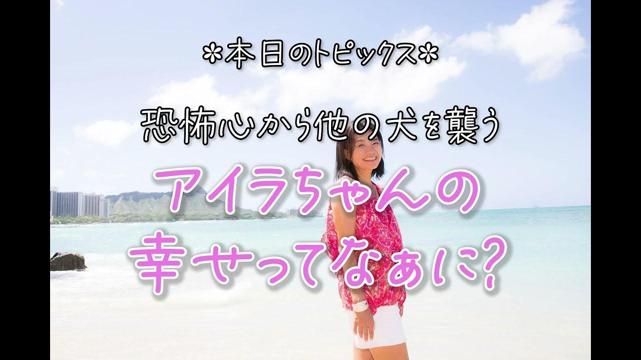 Clubhouse 恐怖心から他の犬を襲う「アイラちゃんの幸せってなぁに?」 Youtube