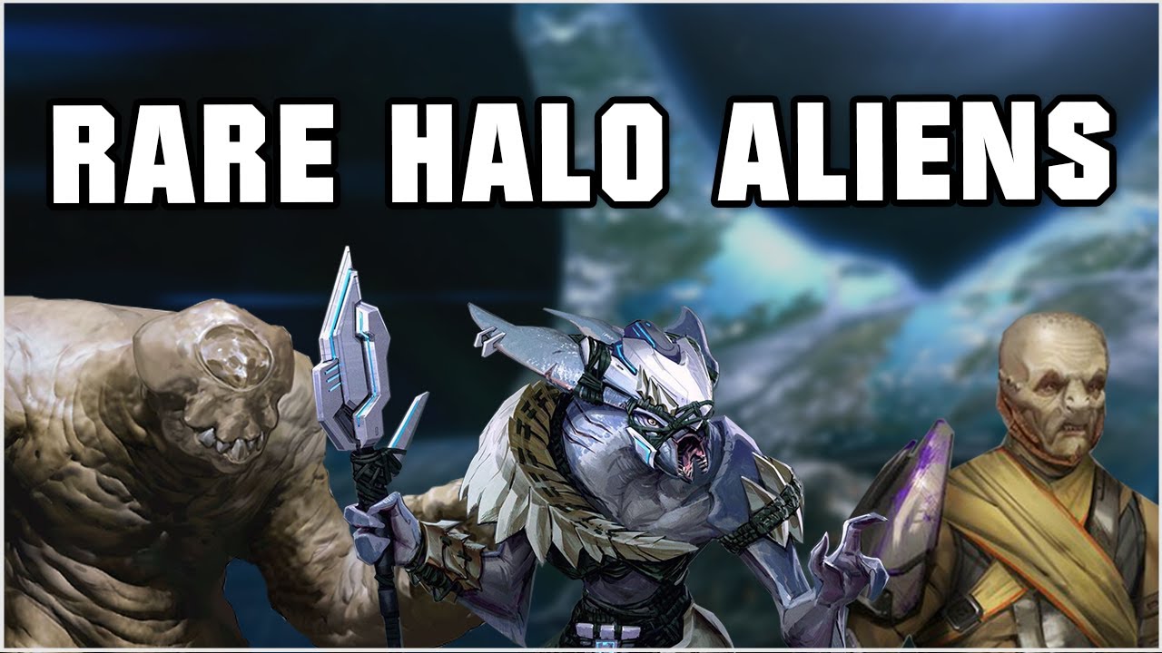 3 Covenant Species you've never heard of - Halo Lore - YouTube
