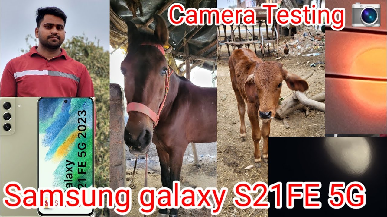 Samsung galaxy S21FE 5G Camera Testing 📷 - YouTube