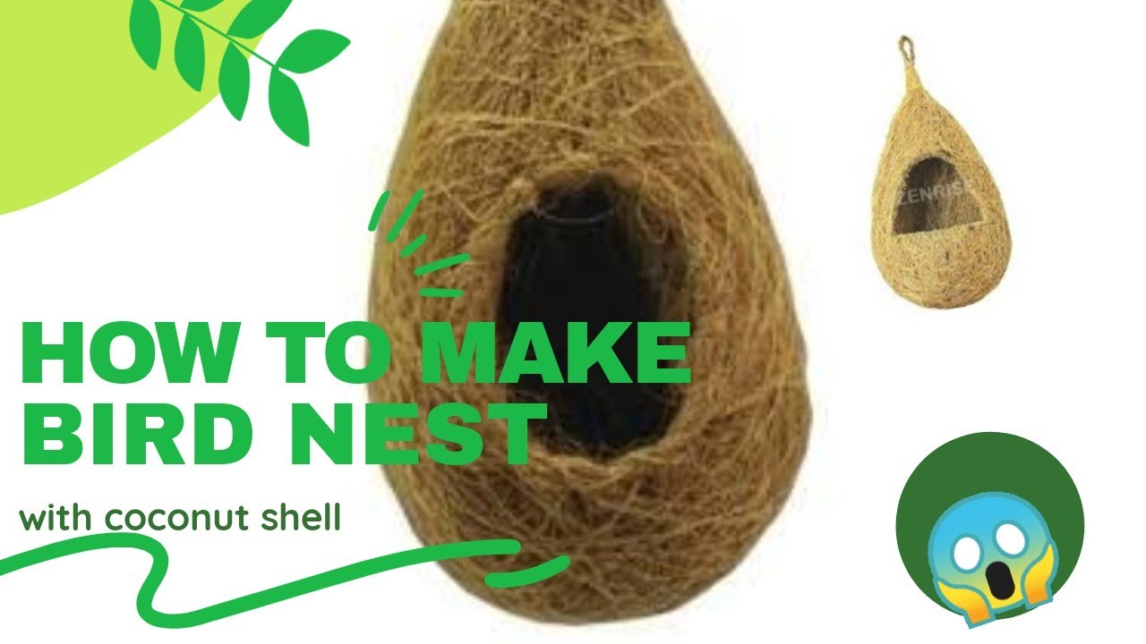 How To Make Bird Nest With Coconut Shell BIRD NEST MAKING DIY How To Make Bird Nest With Coconut Shell BIRD NEST MAKING DIY