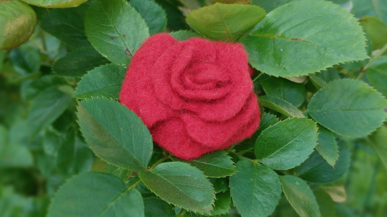 Easy wet felting tutorial - Wool rose - Felted flower for beginners ...