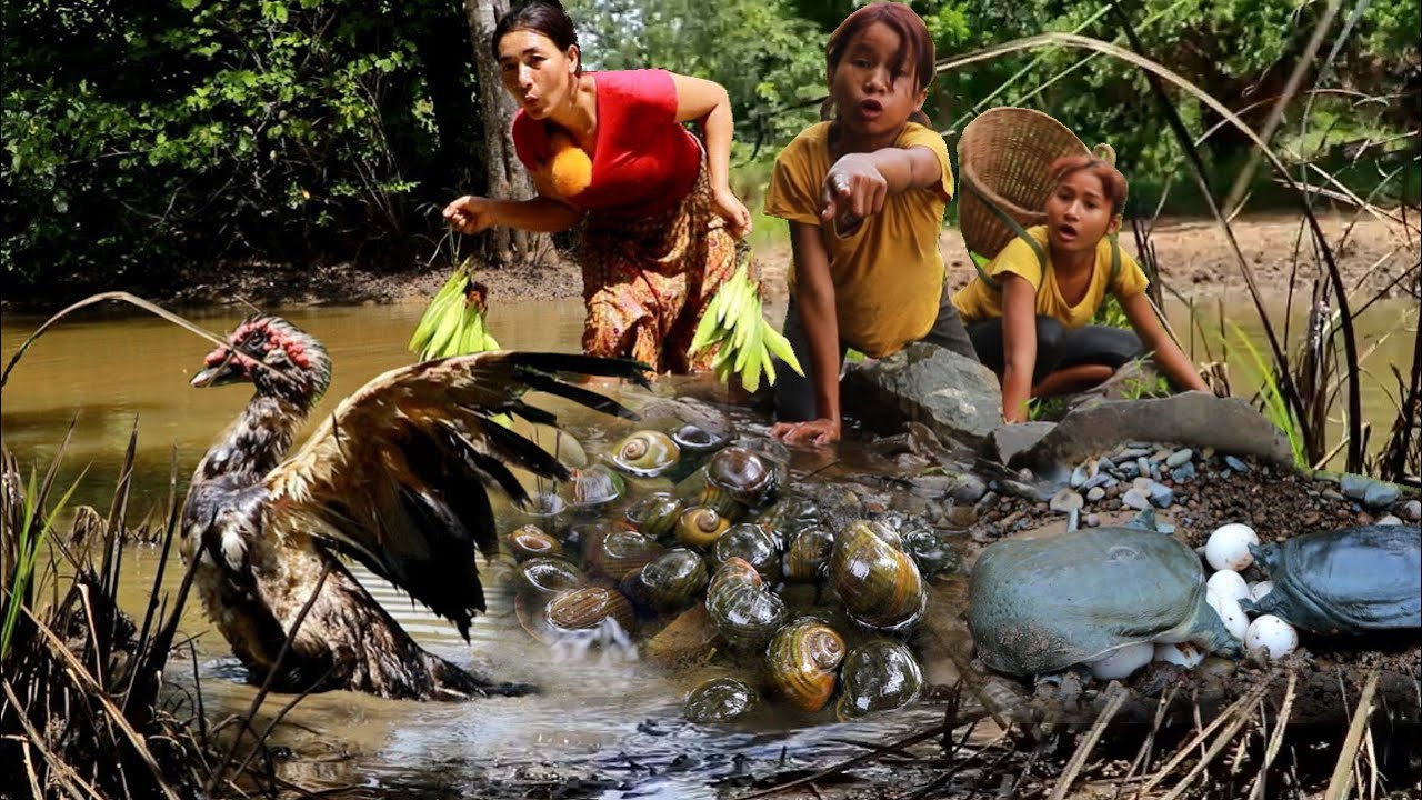 Catch and cook duck for dinner- Pick snail & egg for food- Boiled snail ...