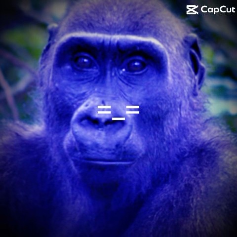 Cold 🥶 Ape Edit sigma vs beta alpha 🐐🐐🗣️🗣️🔥🔥🔥🔥🐐🐐 🗣️🗣️🔥🔥 #bowelmovement ...