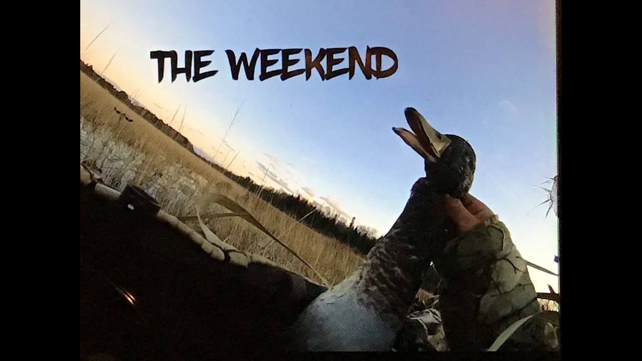 MEA, Weekend highlights 2020 - YouTube