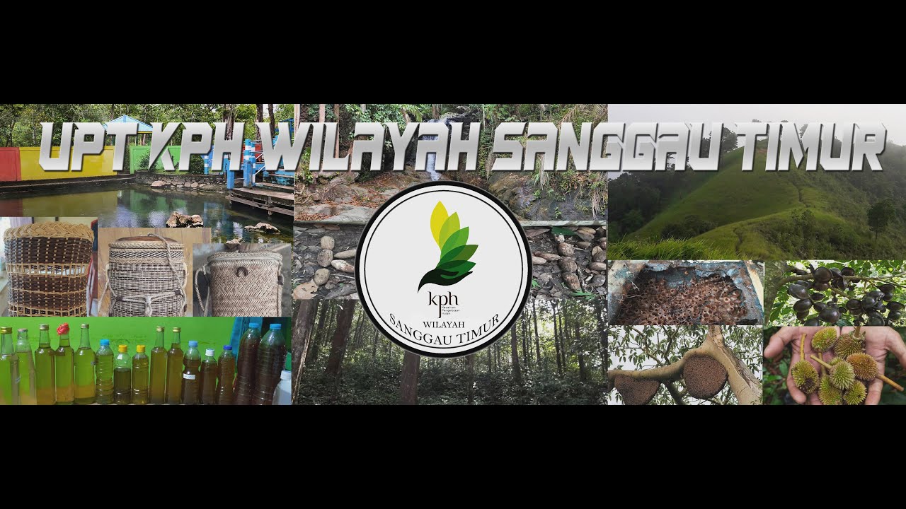 Profil UPT KPH Wilayah Sanggau Timur #uptkphwilayahsanggautimur #dlhk # ...