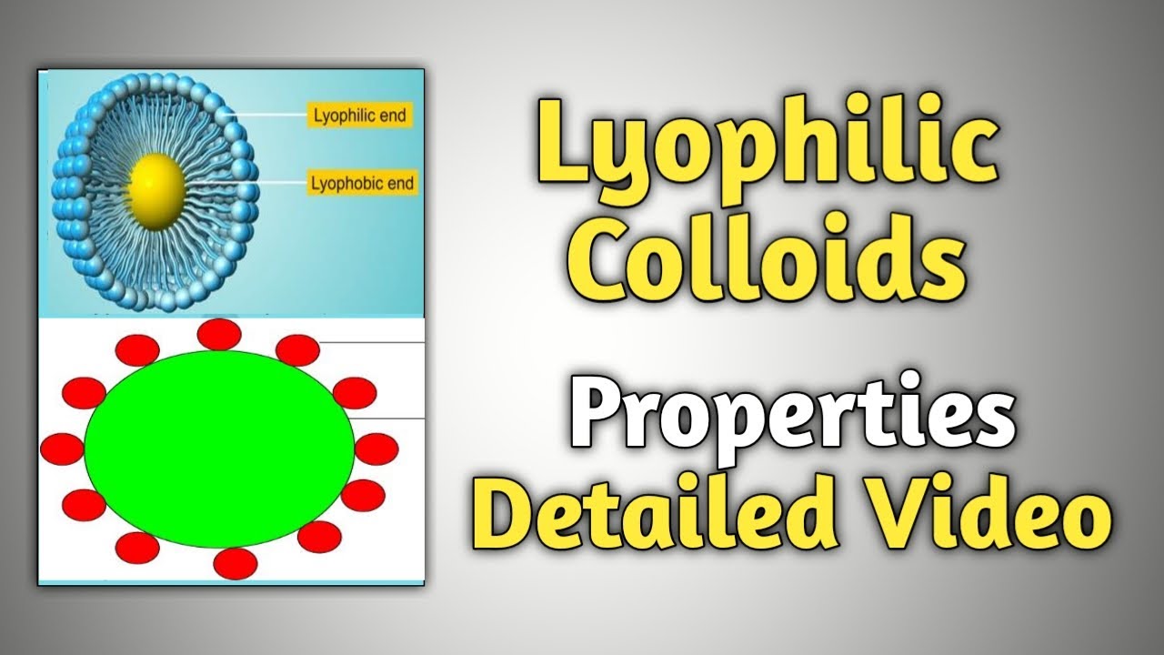 Lyophilic Colloids | Properties | Detailed explanation Video ...