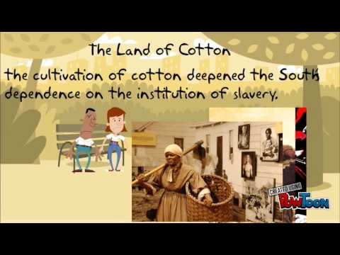 Chapter 5 Growth and Division - YouTube