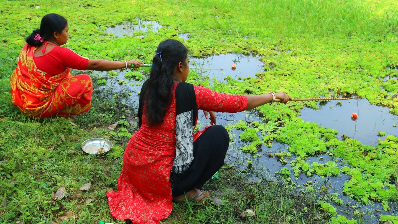 Fishing Video |🎣🐬Two Lady Hook Fishing In village Pond | The Lady ...