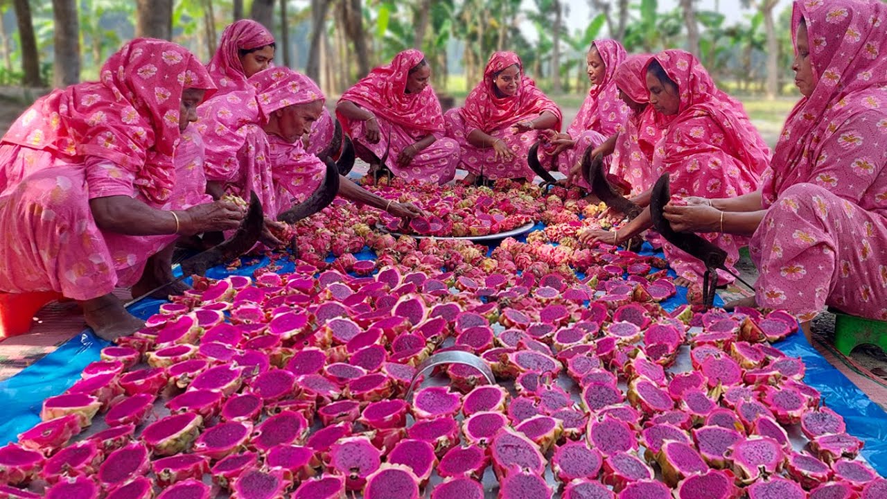 DRAGON Fruits Juice - Healthy Drinks - Spice Khichori & Delicious ...