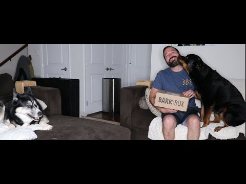 BARKBOX with Extra Toy | July 2021 | Space Jam - A New Legacy Unboxing ...