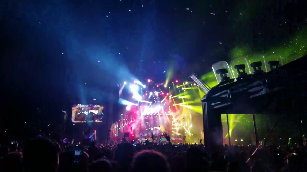 Bassnectar Bass Head at Electric Forest 2017 - YouTube
