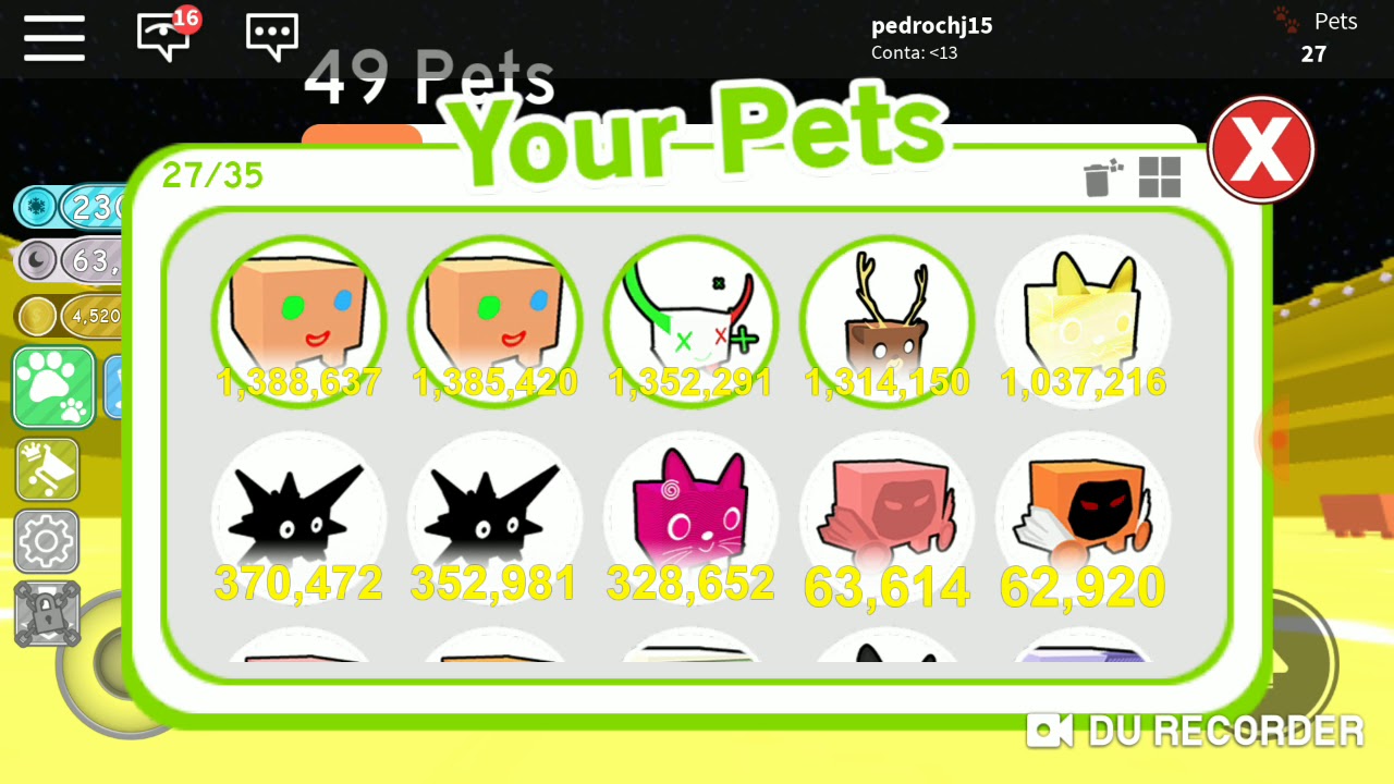Pet simulator - YouTube