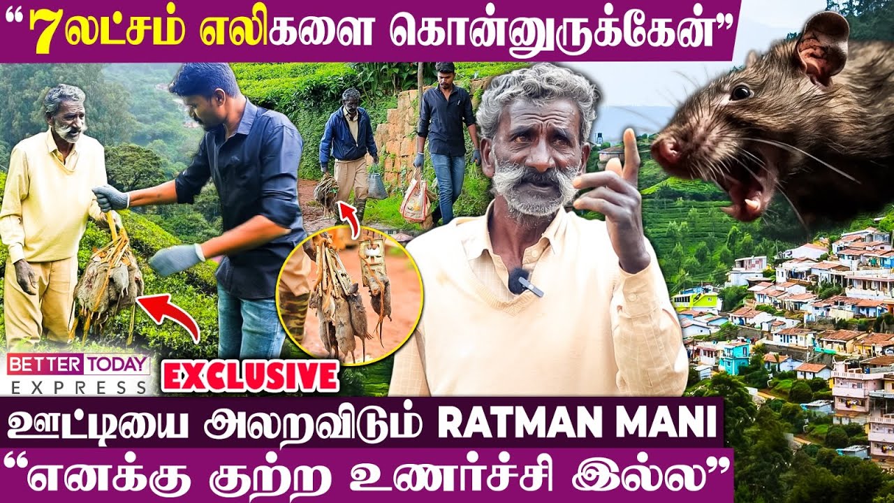 "எலிகளுக்கு நான்தான் எமன்" 😈 Ooty-யில் Monster வேட்டை ஆடும் VIRAL Rat ...