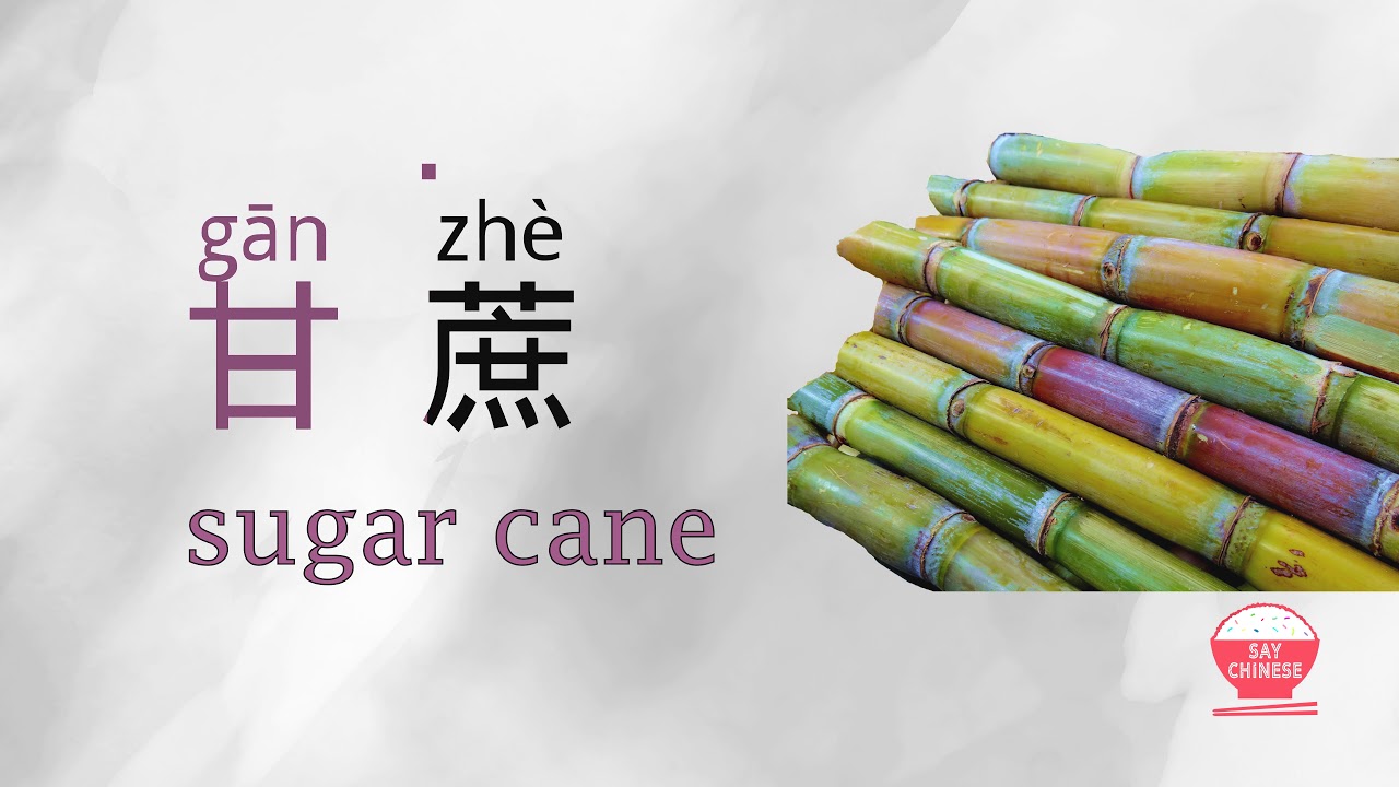 how to say sugar cane (甘蔗 ) "gan zhe " in Chinese | Real Human Voice ...