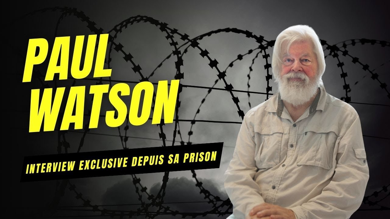 Paul Watson : l'interview exclusive depuis sa prison au Groenland - YouTube