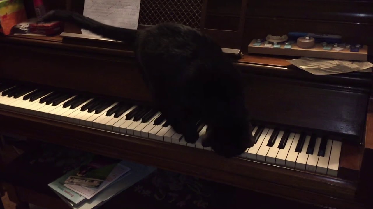 Riddle playing the piano, Spring 2019 - YouTube