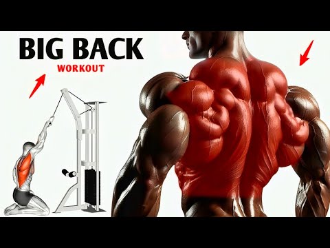 Back Workout At Gym - 6 Best Exercises For Big ( BACK ) - YouTube
