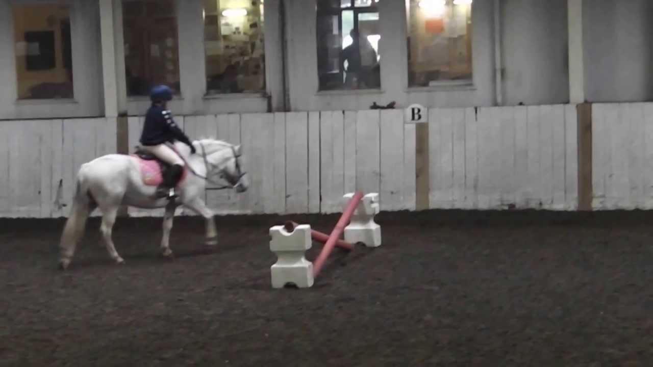 Nicole & Spangles - Wellington Riding pony Club Prix Caprilli Test (2nd ...