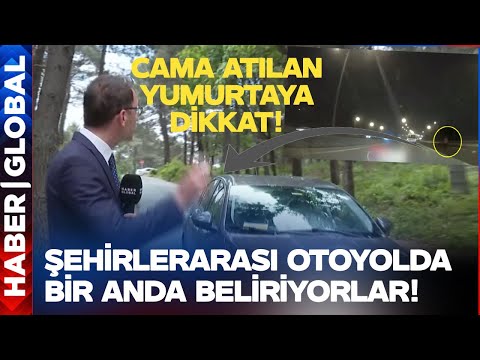 Gece Yarısında Şehirlerarası Otoyolda Beliriyorlar! Cama Atılan Yumurtaya Dikkat!