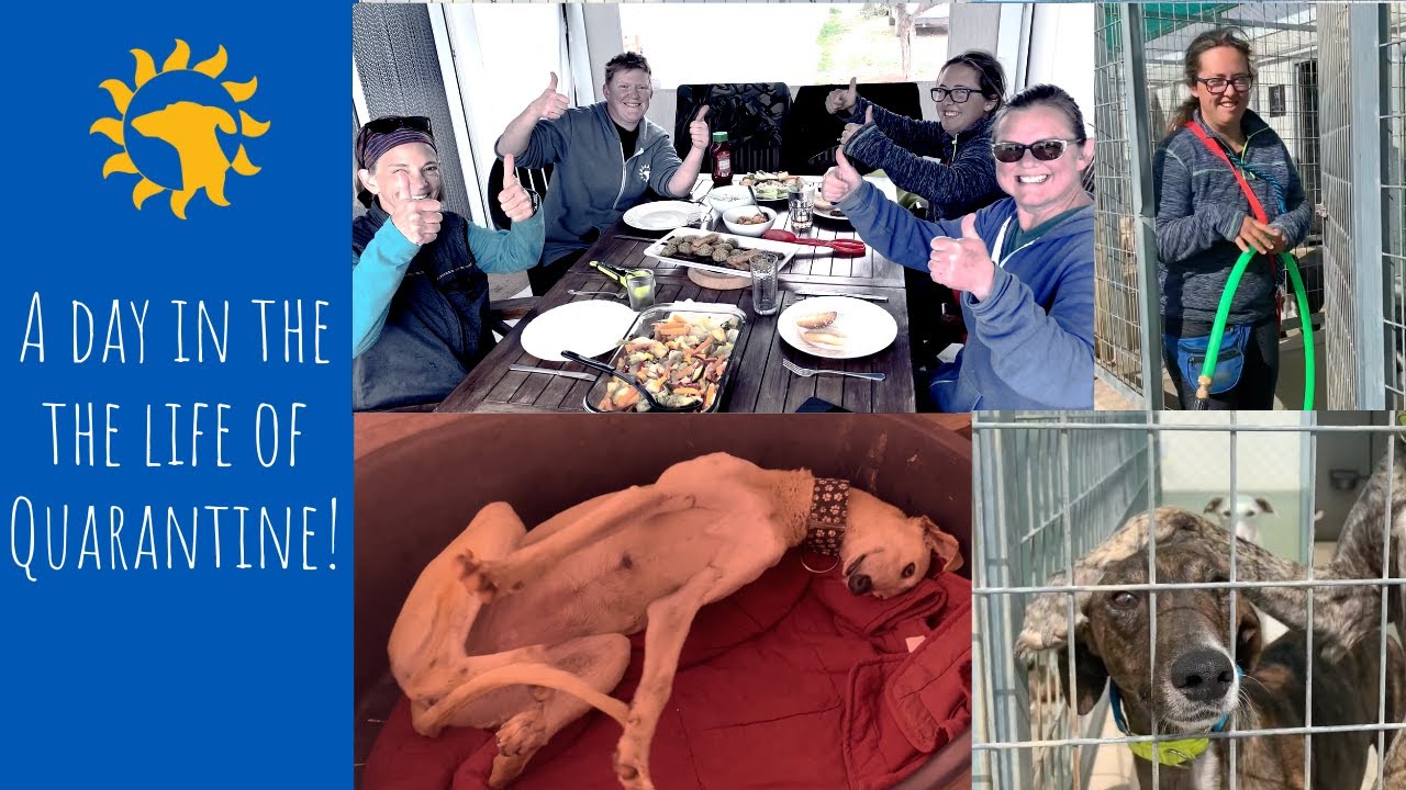 A day in the life of Quarantine! - YouTube