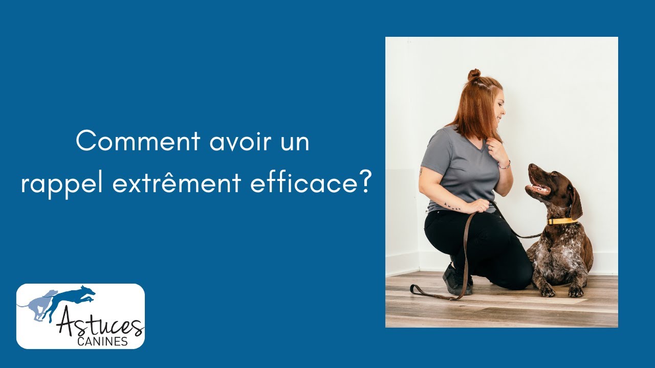 Comment avoir un rappel efficace ? - YouTube