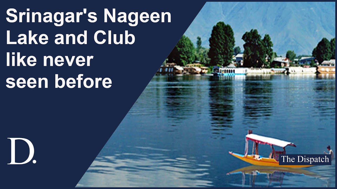 Srinagar's Nageen Lake and Club like never seen before | The Dispatch ...