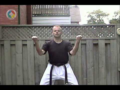Taekwondo: Hapkido: Foundations: double middle block, front view - YouTube