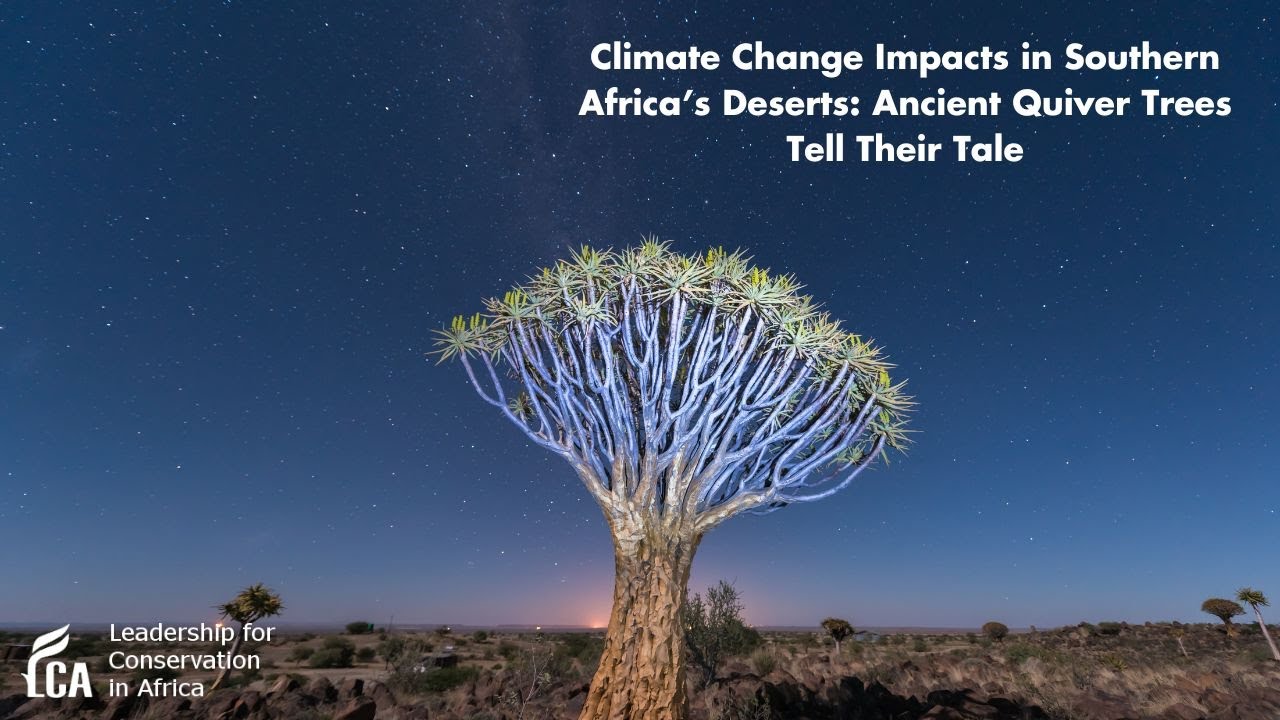 Climate Change Impacts in Southern Africa’s Deserts: Ancient Quiver ...