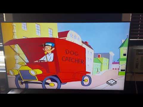 Looney Tunes Sylvester Dog Runaway With The Street 🐱🐶🛣