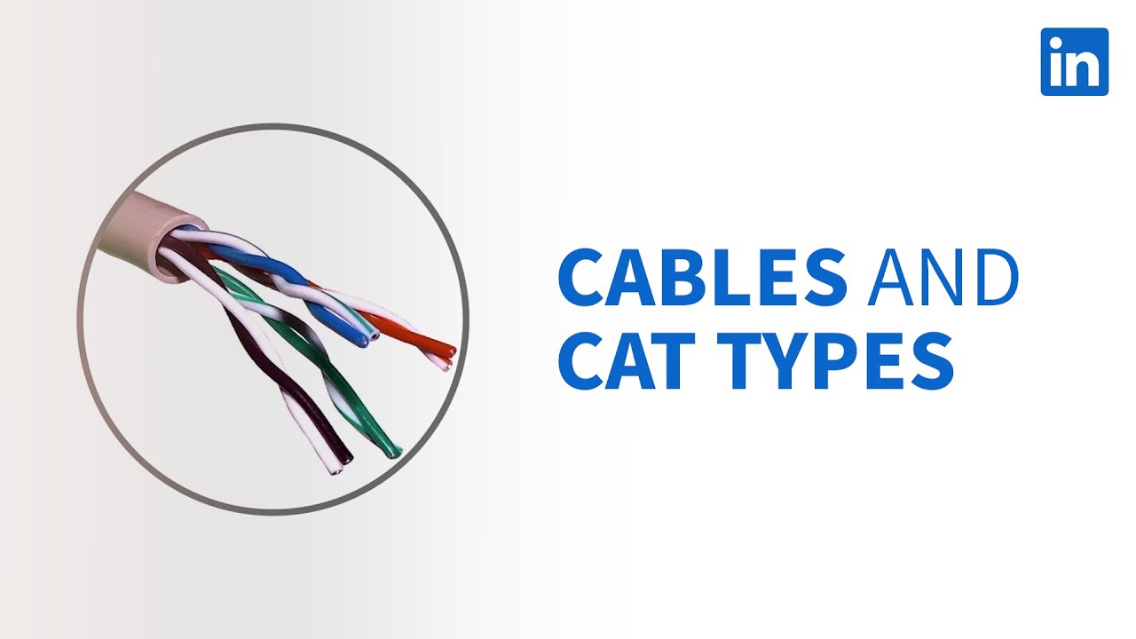 IT Support Tutorial - Network Cable TYPES - YouTube