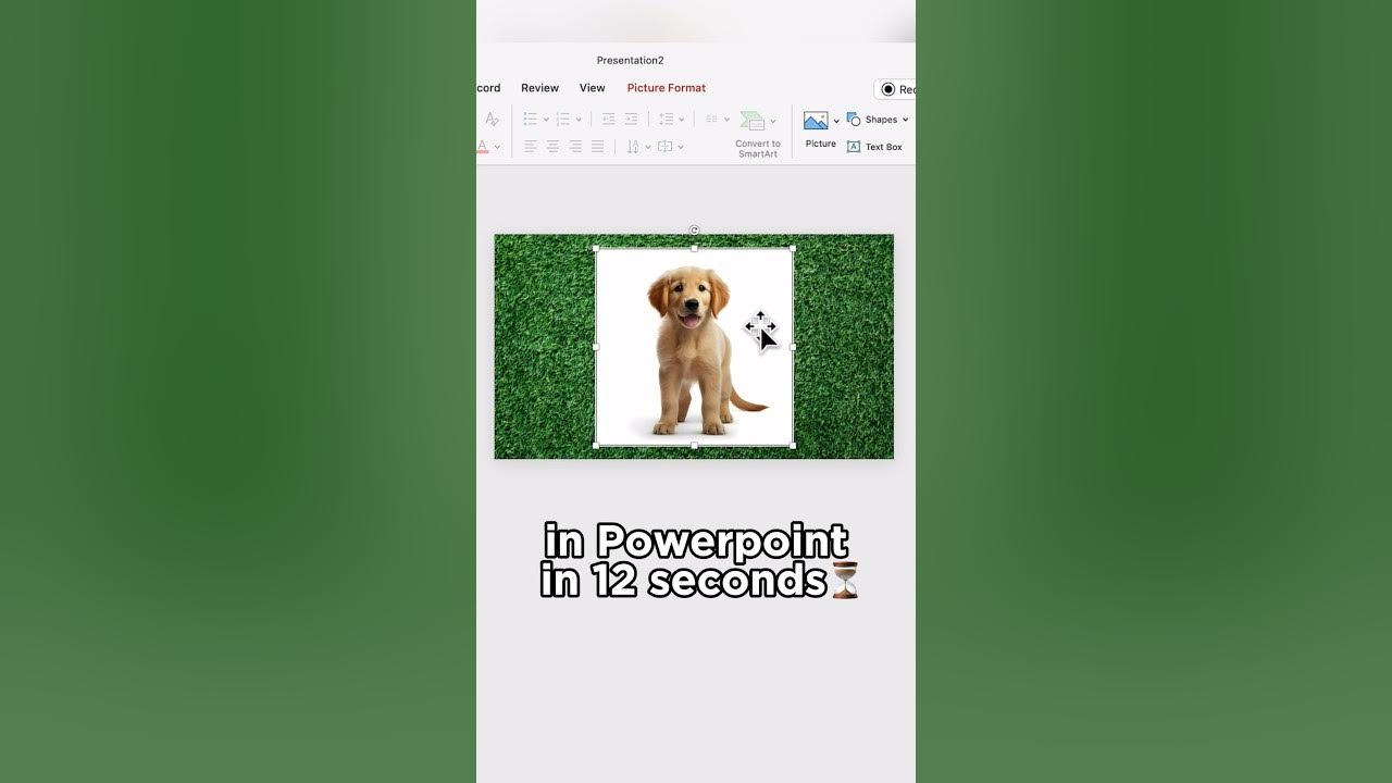 How To Remove Backgrounds in PowerPoint‼️🤔 #powerpoint #presentation #tutorial #students #design ...